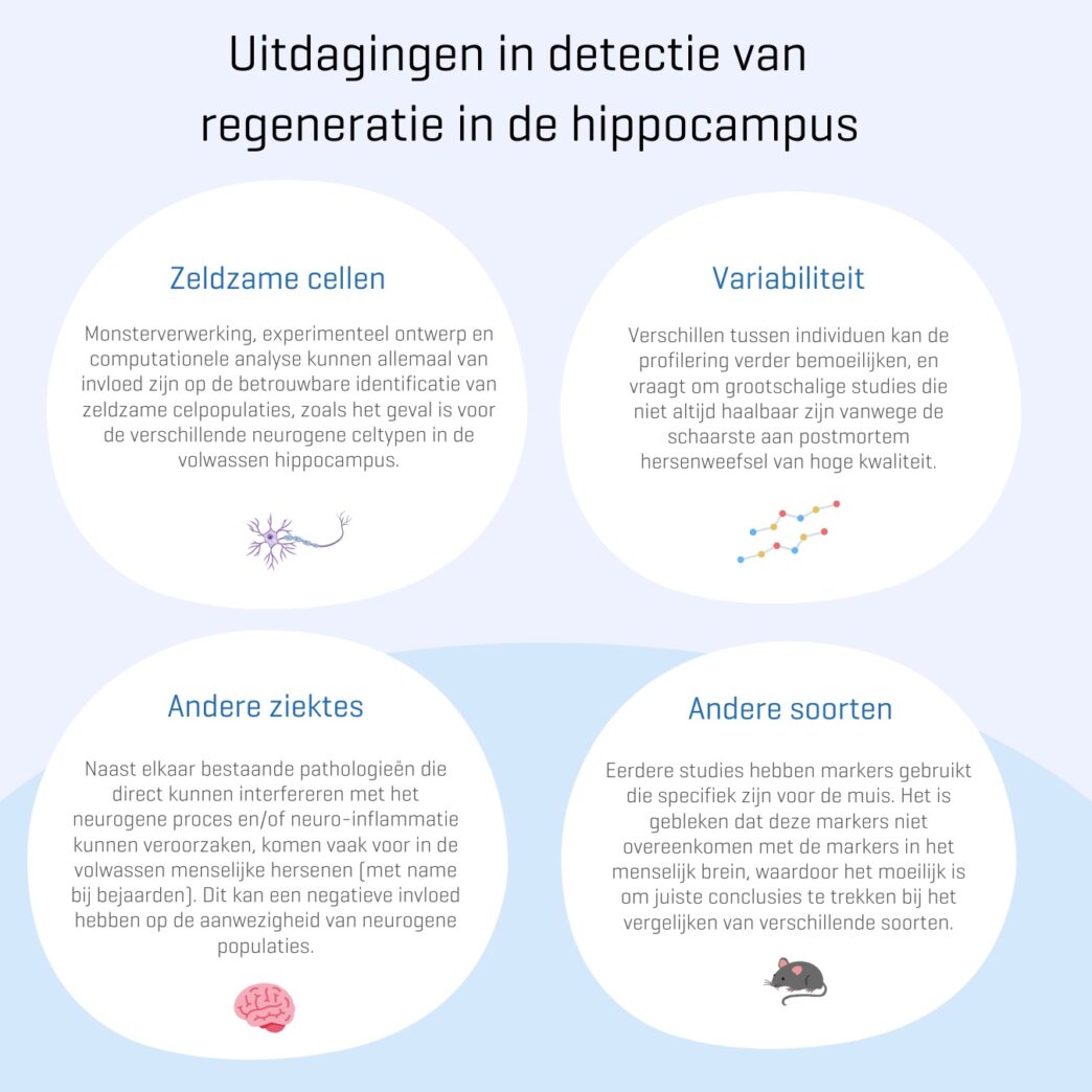 Hoe weten we of ons brein in staat is om zichzelf te herstellen? - Nederlands Herseninstituut ...